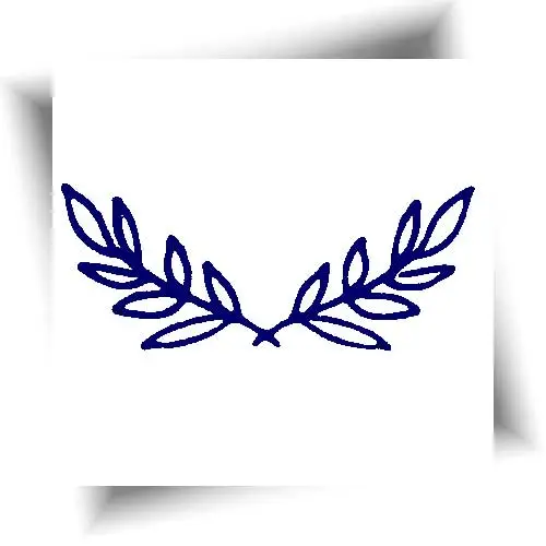 Tatouage feuille de laurier au jagua | Tatouage éphémère Mikiti